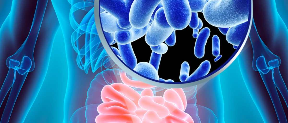 La storia del Dottor Minoru Shirota che creò Yakult – GenerazioneOver60